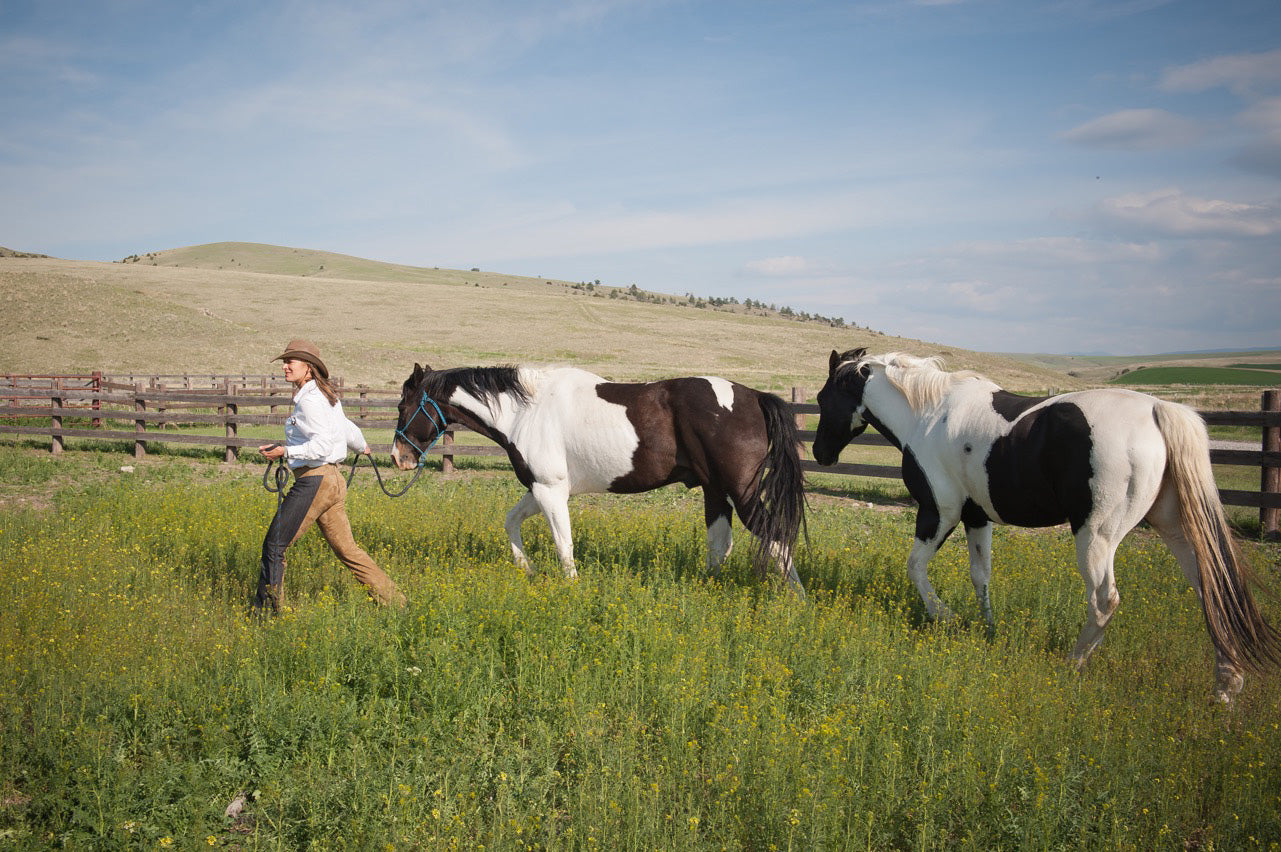 Beautifully tailored and perfectly comfortable luxury clothing. – EQ Wear